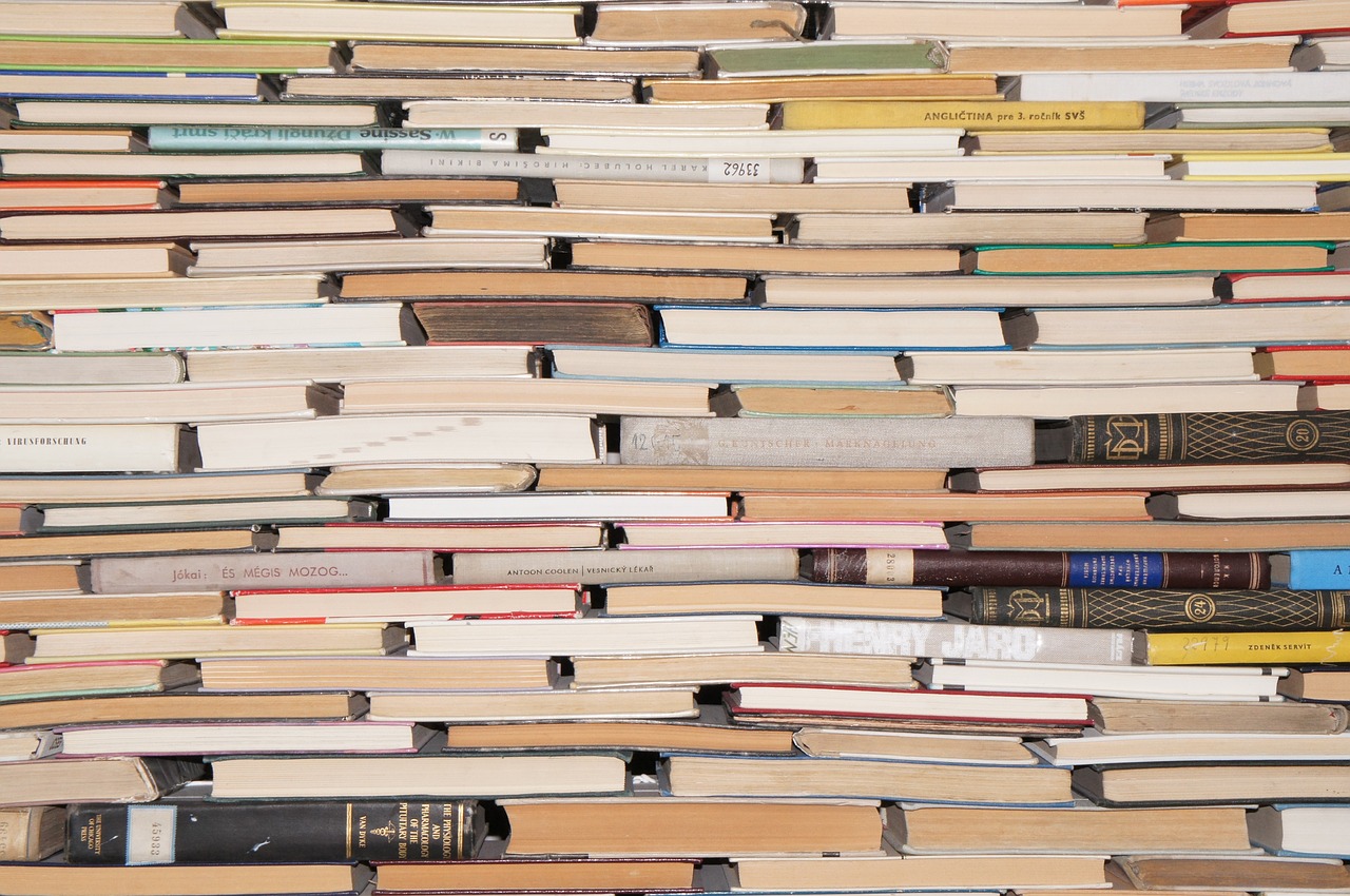 Minnesota authors and their books you should be reading - Twin Cities ...