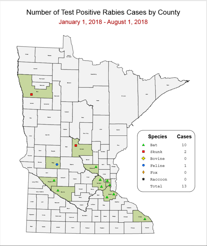 Preventing rabies: Keep wild animal contact visual only - Twin Cities ...